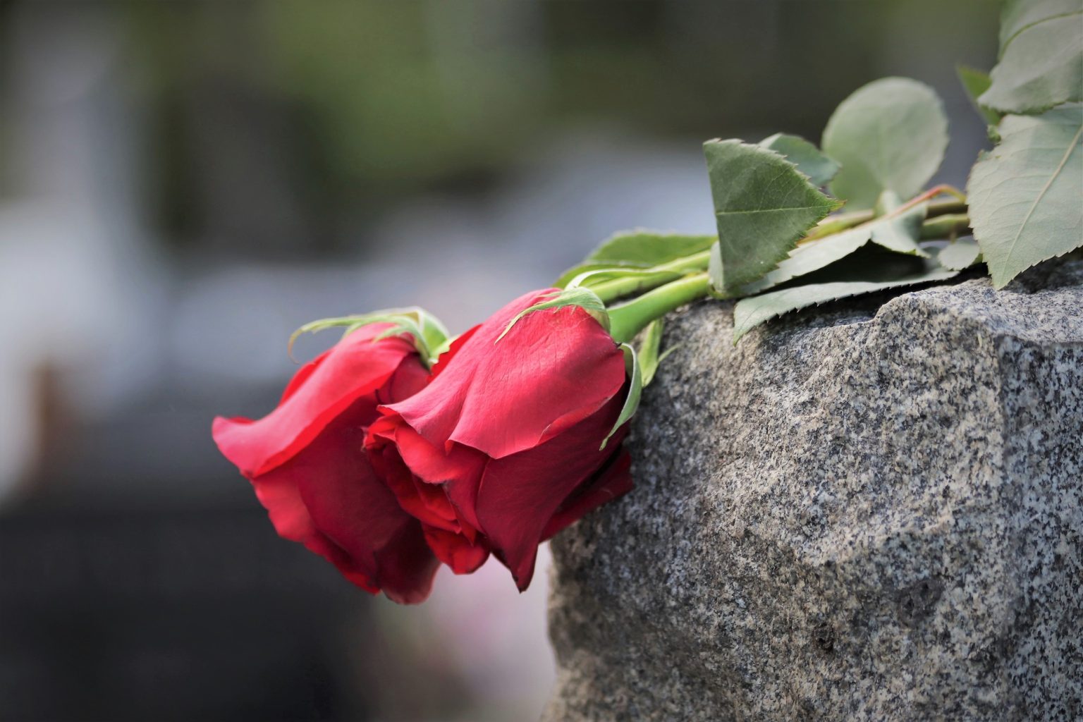 ActionSA Extends Condolences Following Tragic Accident Verkeerdevlei ...