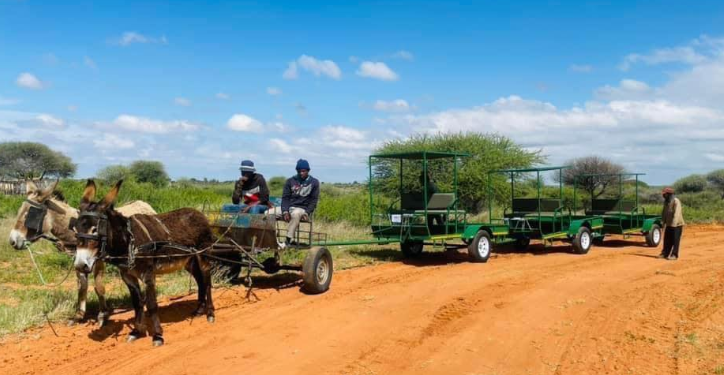 ActionSA Horrified by the Procurement of Donkey Carts by North-West ...