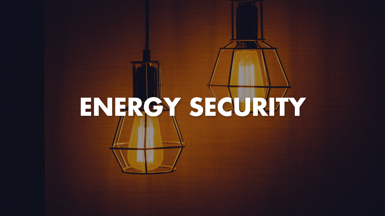 Energy Security - ActionSA